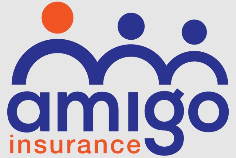 Amigos Auto Insurance - Central Digital Library Of Bangladesh