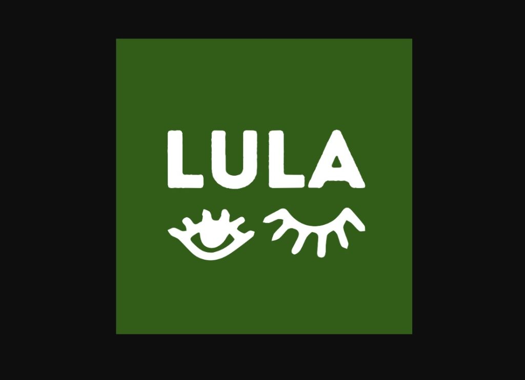 Lula Insurance: Transforming Protection for Contemporary Requirements ...